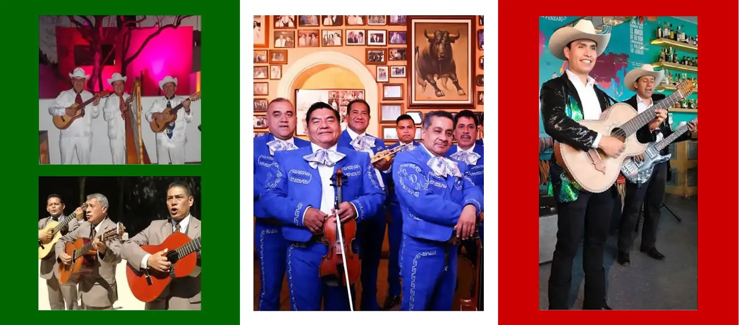 Música Mexicana: Mariachis, Grupos Norteños, Tríos, Banda, Jarochos y ...